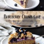 Blueberry Crumb Cake • Seitan Is My Motor